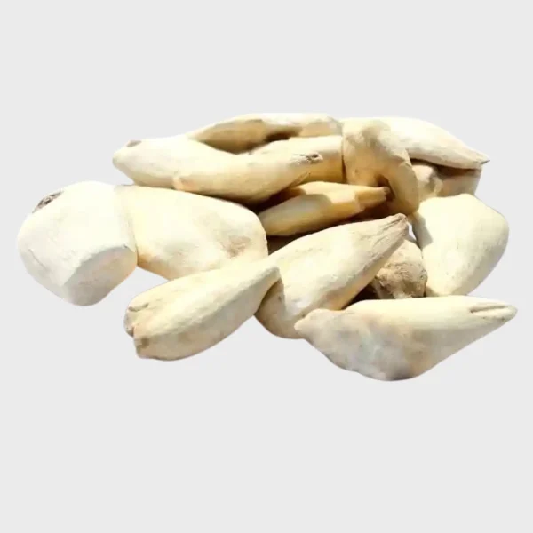 SURANJAN SHIREEN - Shabbir Traders